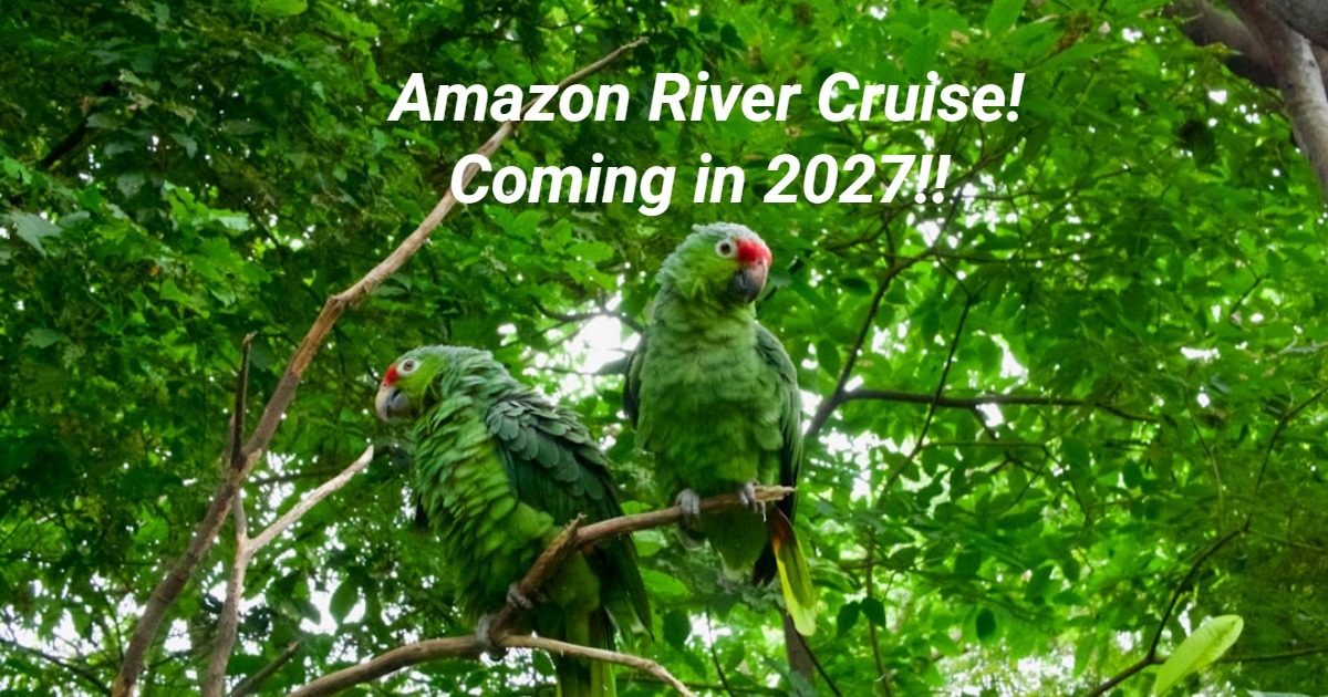 Cruising the Amazon - Coming in Fall 2026 or Early 2027 ...
