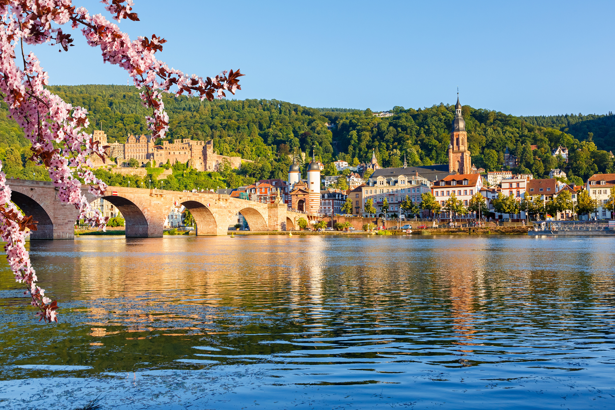Remarkable Rhine & Historic Holland