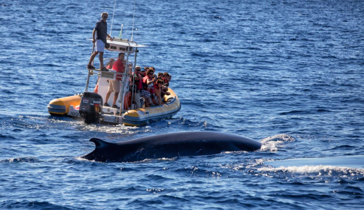 Winter's Secret Paradise: Explore The Azores