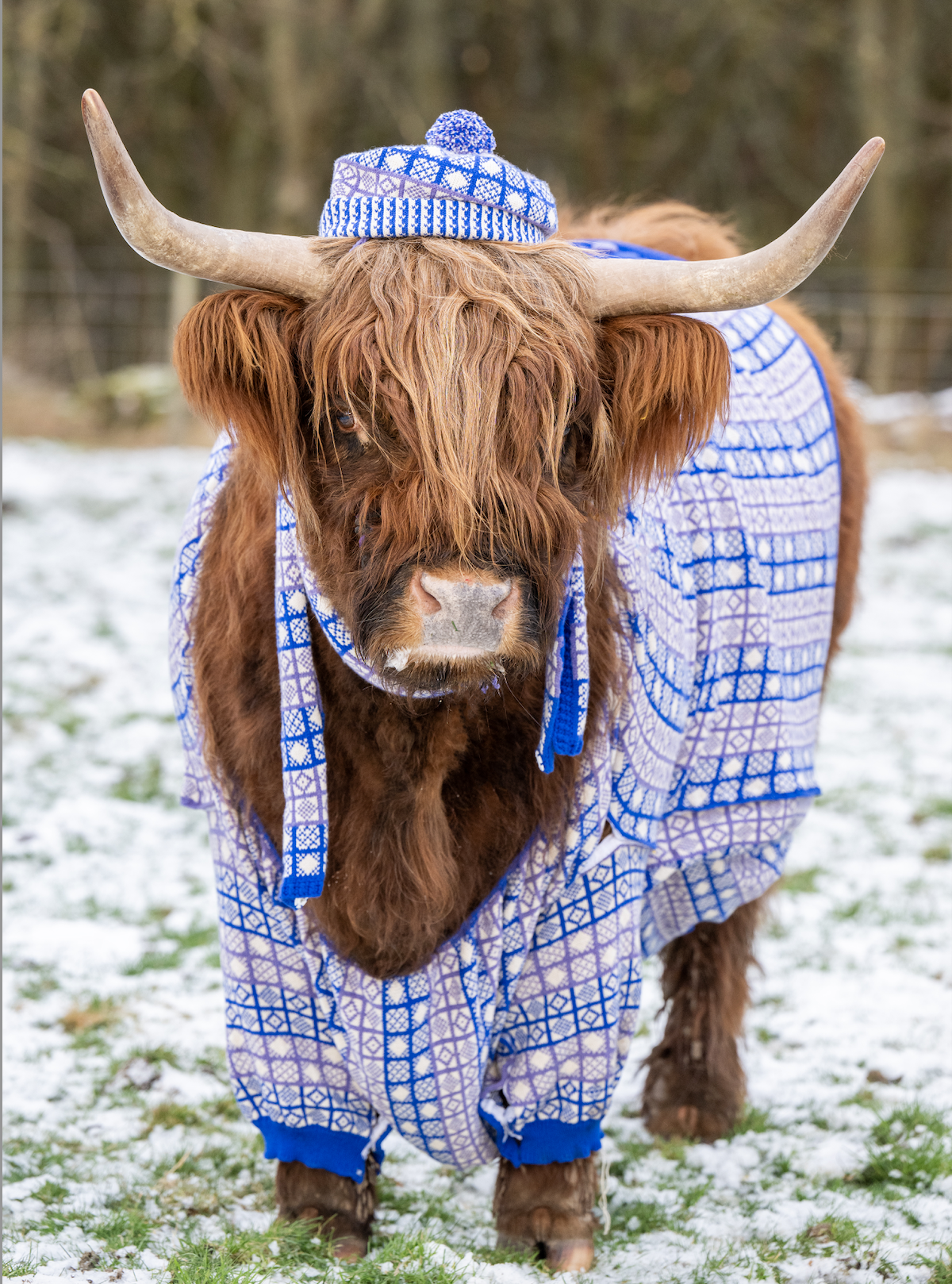 Scotland’s Cool-Weather ‘Coorie’ Culture