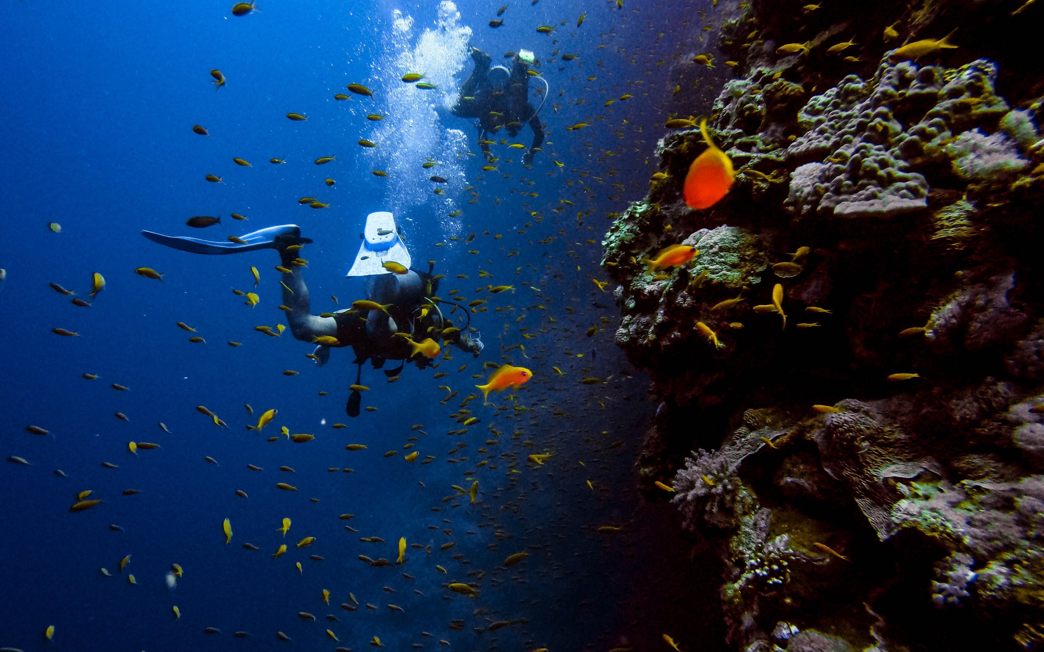 Plan an Epic Diving Trip with These Packages!